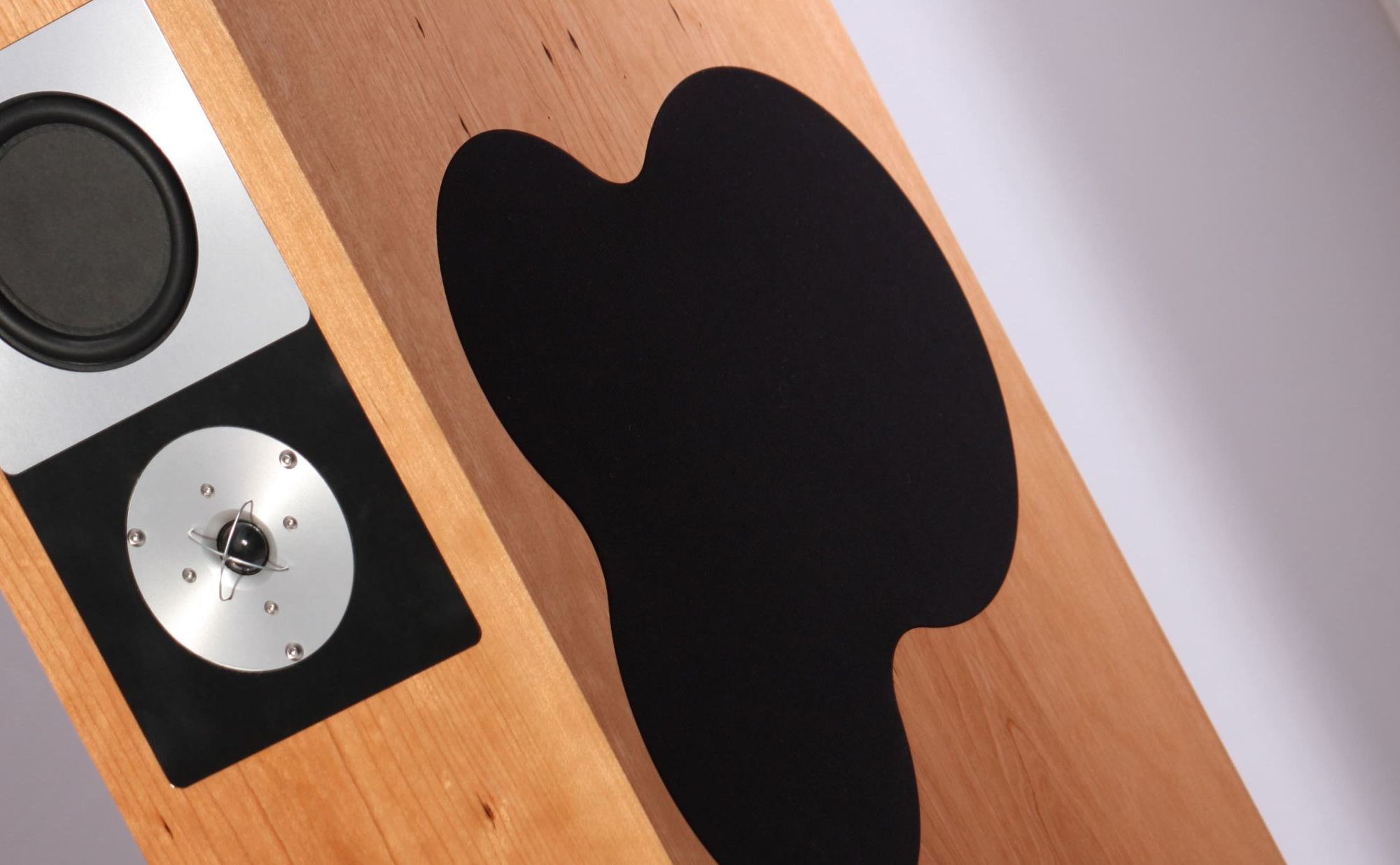 Rega | RS10 Reference Loudspeaker