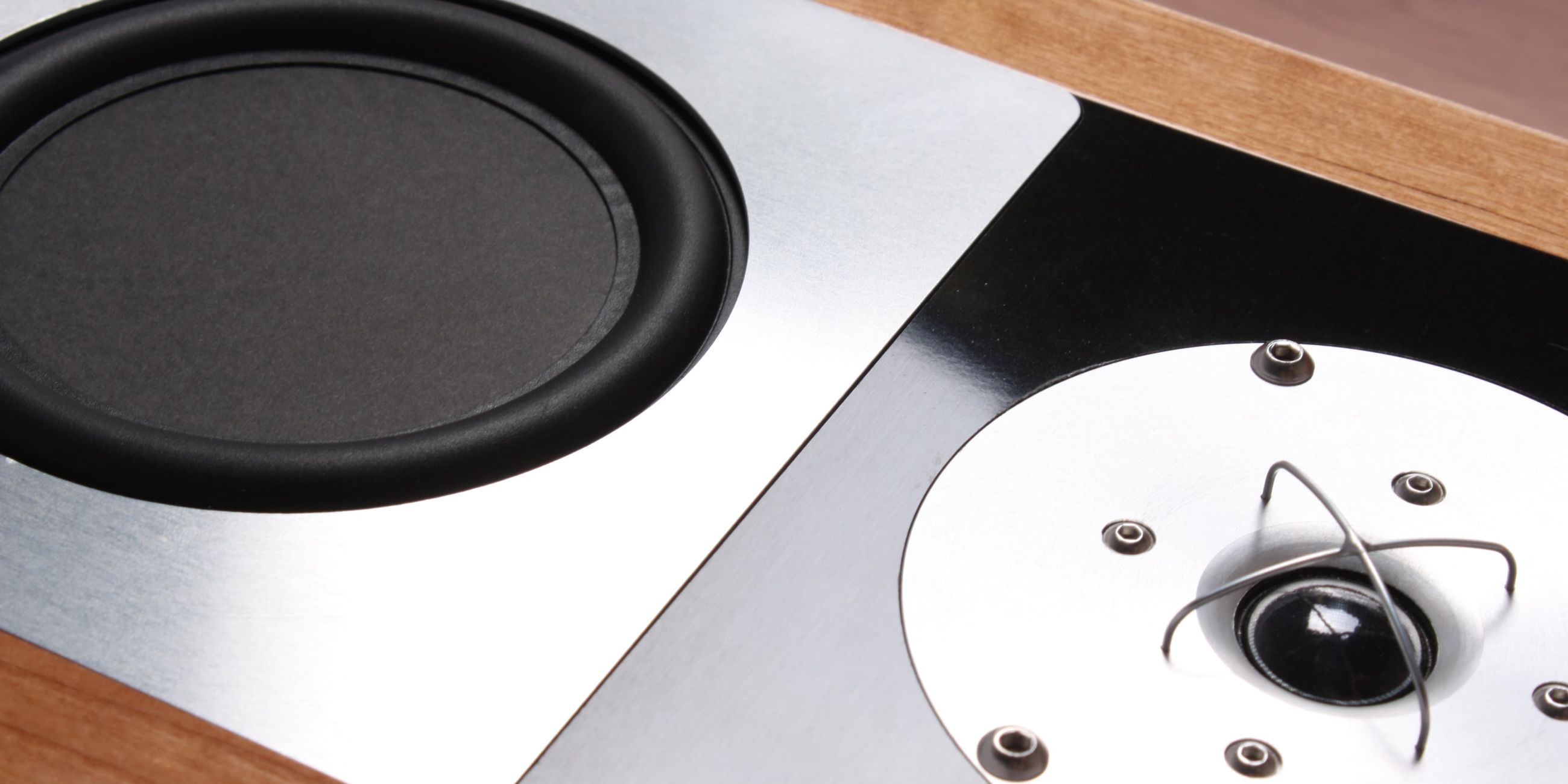 Rega | RS10 Reference Loudspeaker