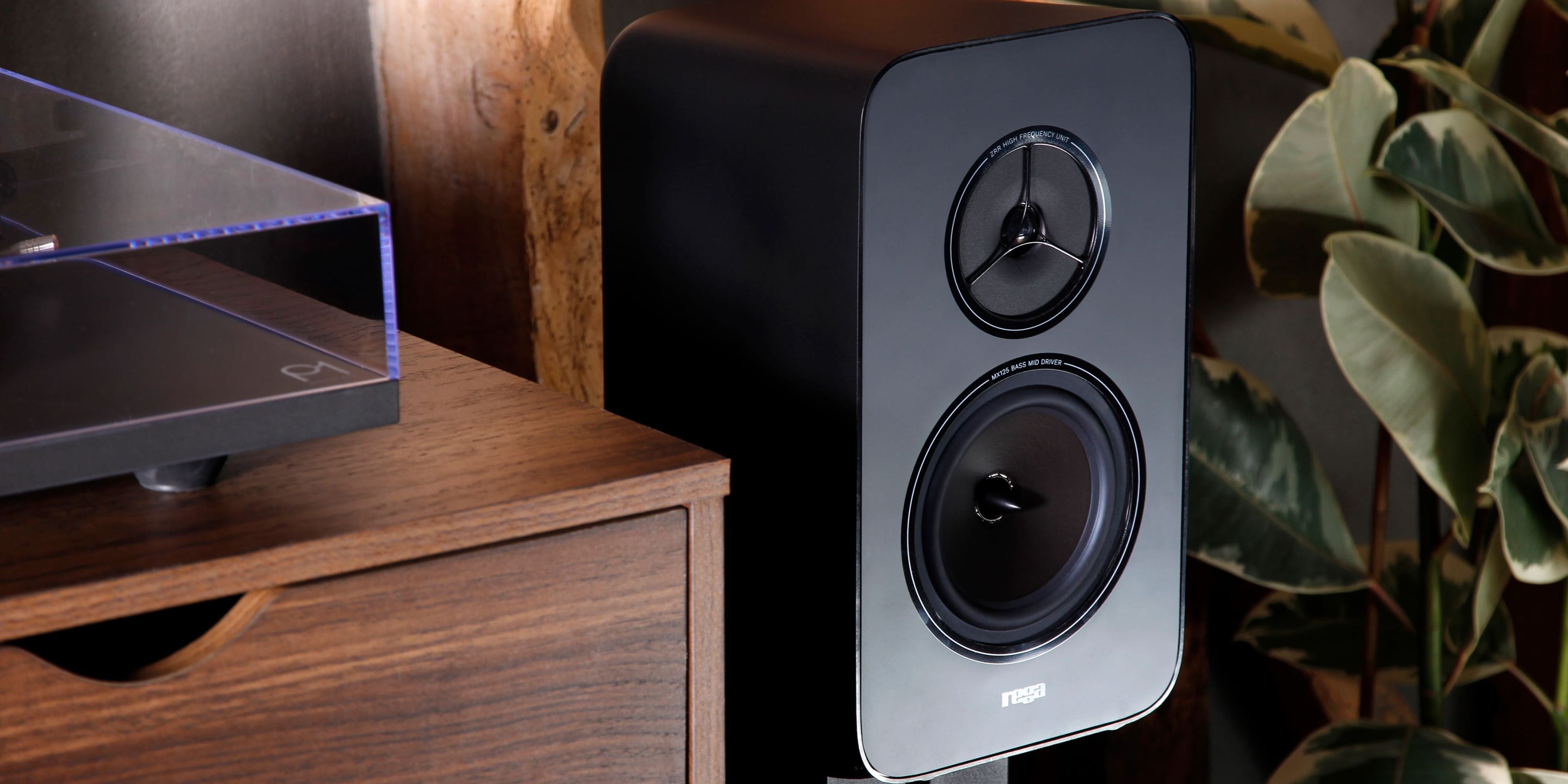 REGA SYSTEM ONE™ - Rega News & Events