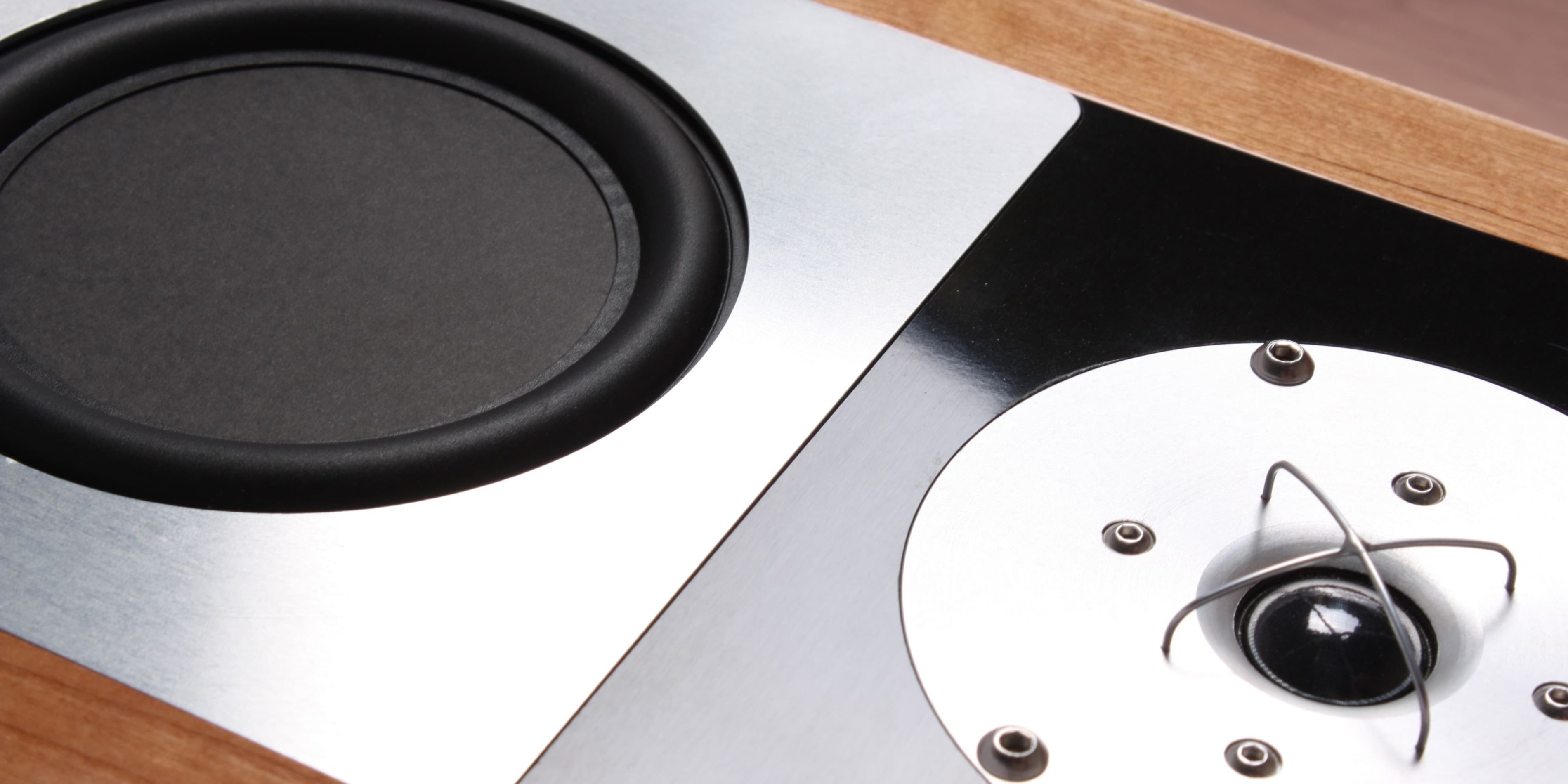 Rega | RS10 Reference Loudspeaker