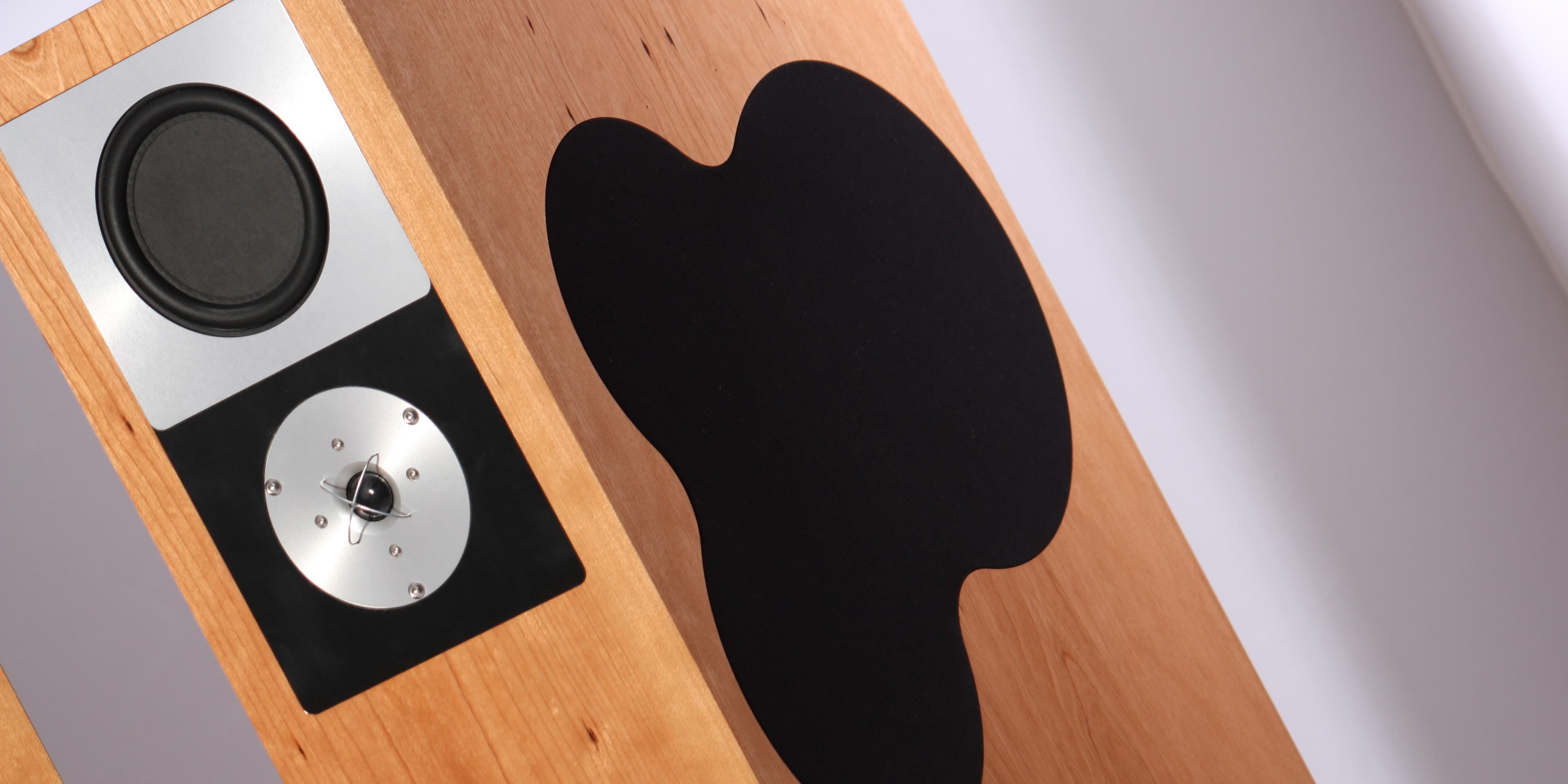 Rega | RS10 Reference Loudspeaker